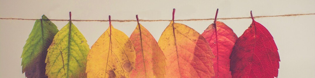 All Colors of Autumn - LinkedIn Background - Get some inspiration!