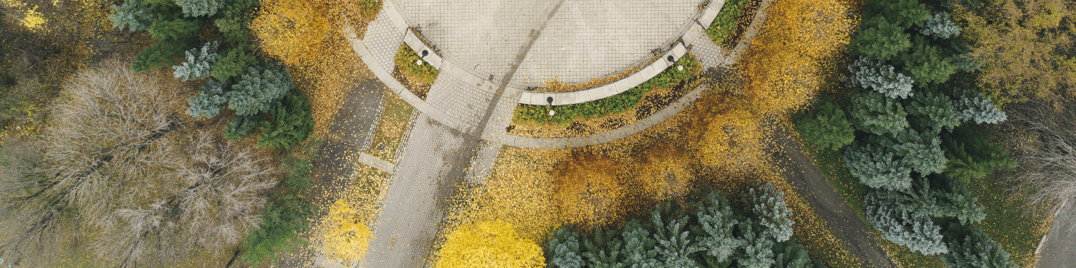 Autumn Park - LinkedIn Background - Get some inspiration!