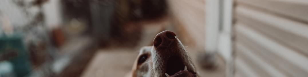 LinkedIn Background - Get some inspiration!