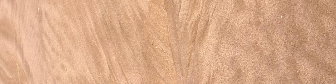 Beach - LinkedIn Background - Get some inspiration!