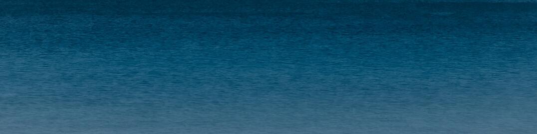 Ocean - LinkedIn Background - Get some inspiration!