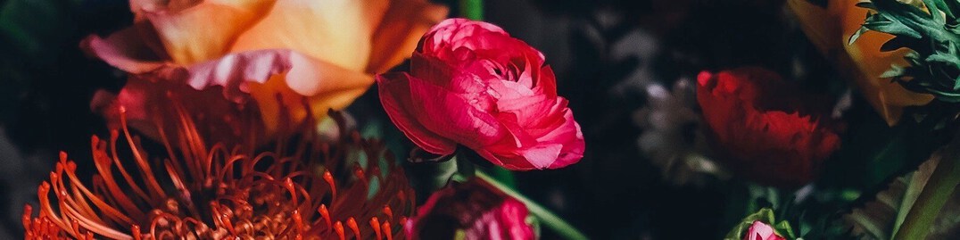 Christmas Bouquet of Flowers - LinkedIn Background - Get some inspiration!