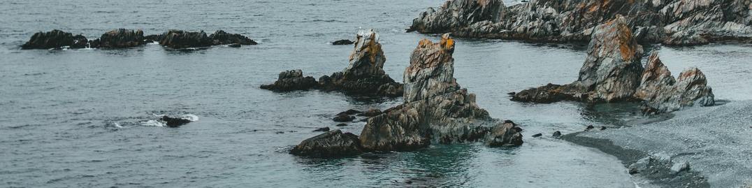 Natures - LinkedIn Background - Get some inspiration!