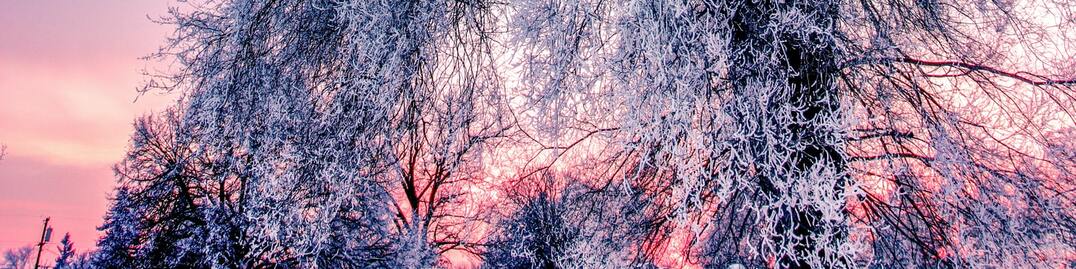 Gradient - LinkedIn Background - Get some inspiration!