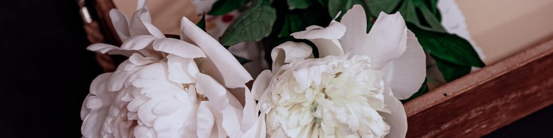 White Petalled Flower - LinkedIn Background - Get some inspiration!