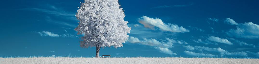 Sky - LinkedIn Background - Get some inspiration!