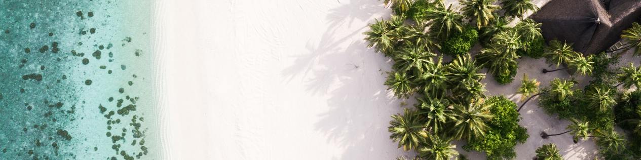 Nature - LinkedIn Background - Get some inspiration!