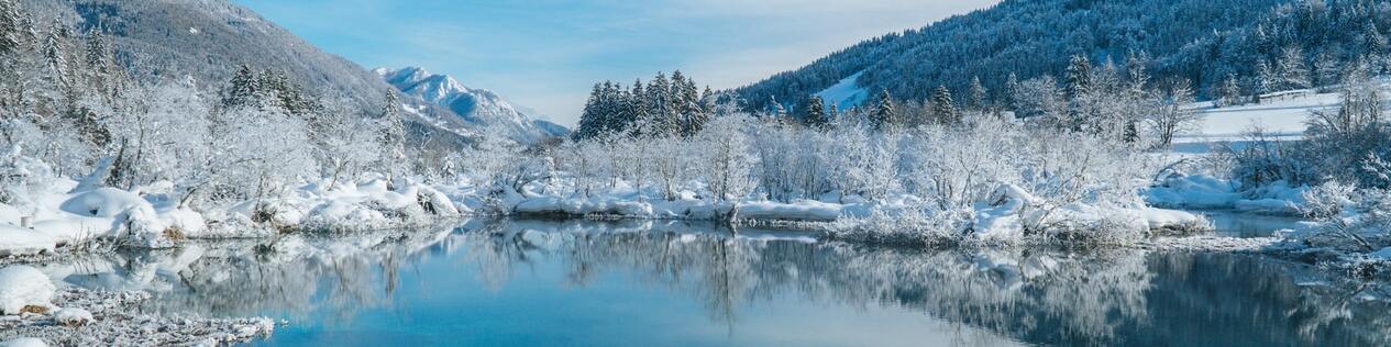 Beautiful Lake With Trees During Winter - LinkedIn Background - Get ...
