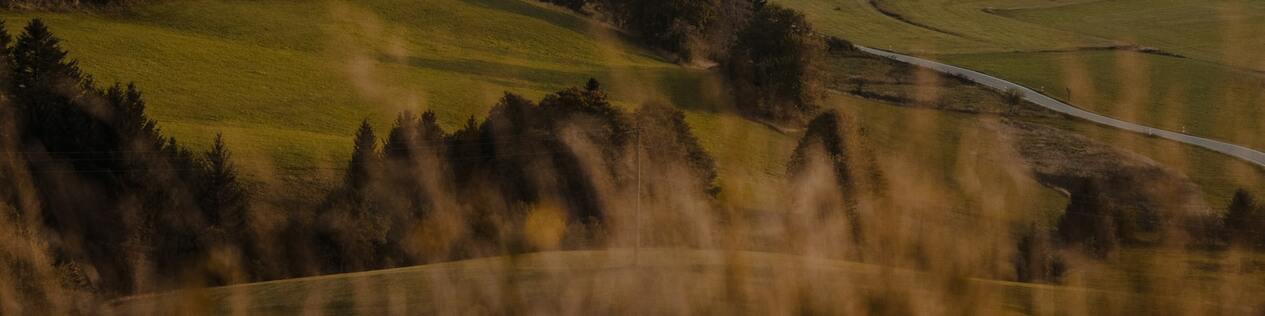 Beautiful Nature Landscape - LinkedIn Background - Get some inspiration!