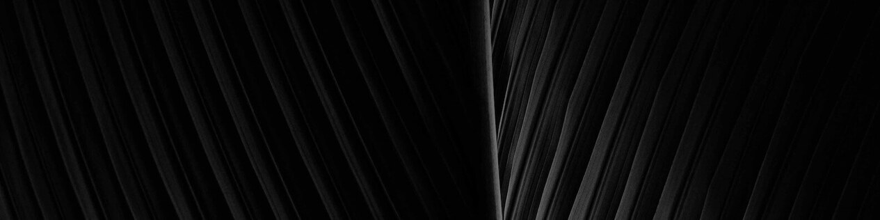 Black Leaf - LinkedIn Background - Get some inspiration!