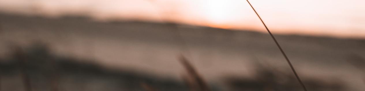 LinkedIn Background - Get some inspiration!