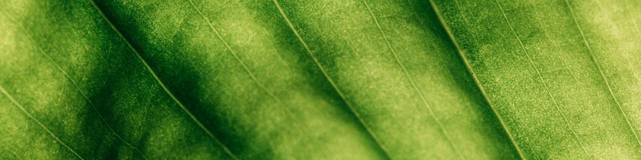 Gradient - LinkedIn Background - Get some inspiration!