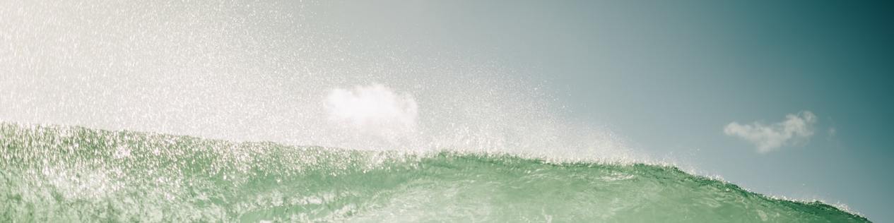 Nature - LinkedIn Background - Get some inspiration!