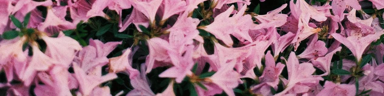 LinkedIn Background - Get some inspiration!