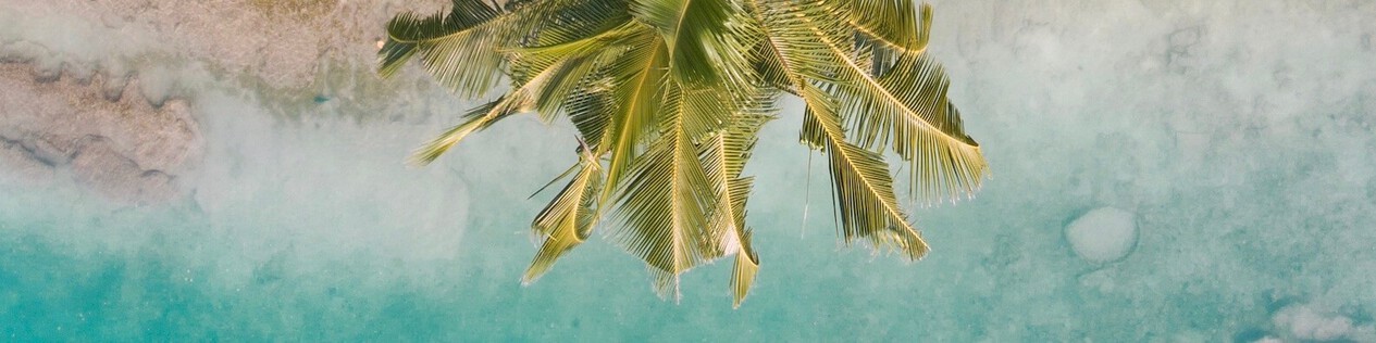 Beach - LinkedIn Background - Get some inspiration!