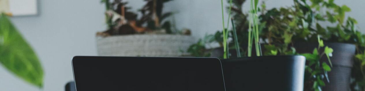 Plants - LinkedIn Background - Get some inspiration!