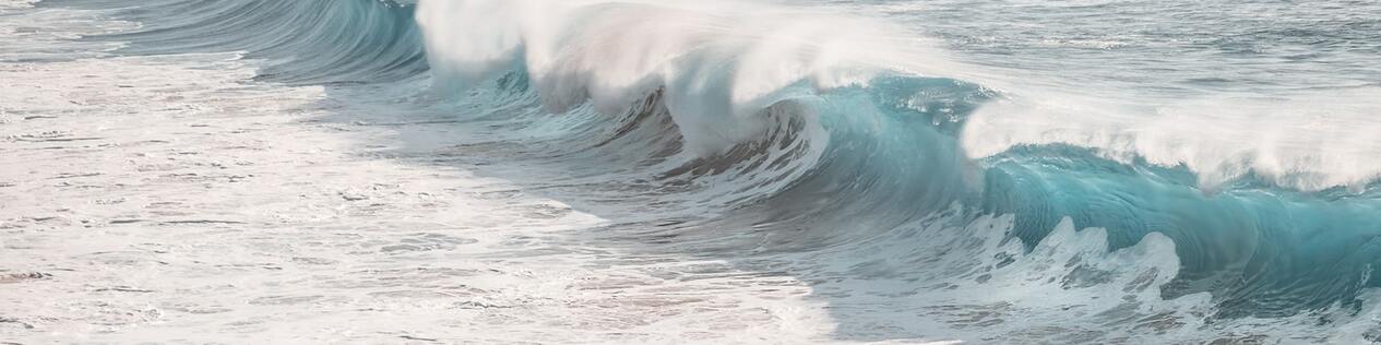 Ocean - LinkedIn Background - Get some inspiration!