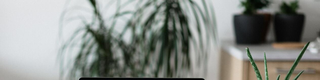 Plants - LinkedIn Background - Get some inspiration!