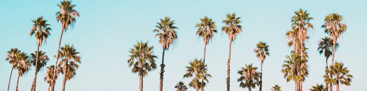 Calm - LinkedIn Background - Get some inspiration!