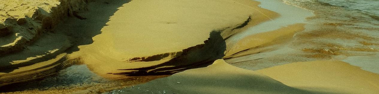 nature - LinkedIn Background - Get some inspiration!