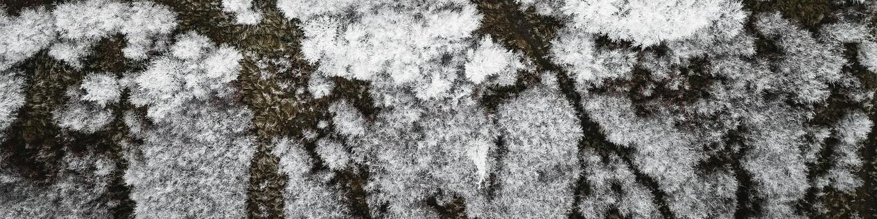 Snow Frost Crystals On A Rock - LinkedIn Background - Get some inspiration!