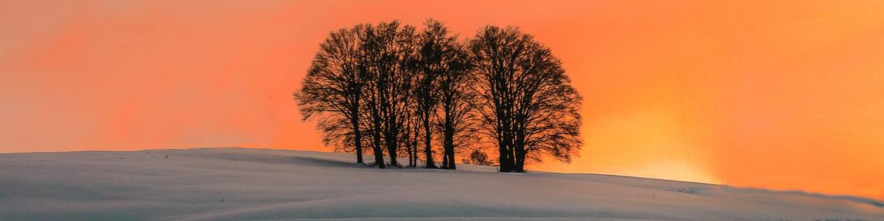 Sunset - LinkedIn Background - Get some inspiration!