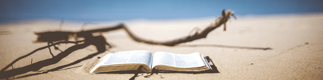 Beach - LinkedIn Background - Get some inspiration!