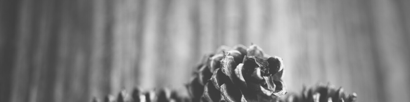 Gray Cone - LinkedIn Background - Get some inspiration!