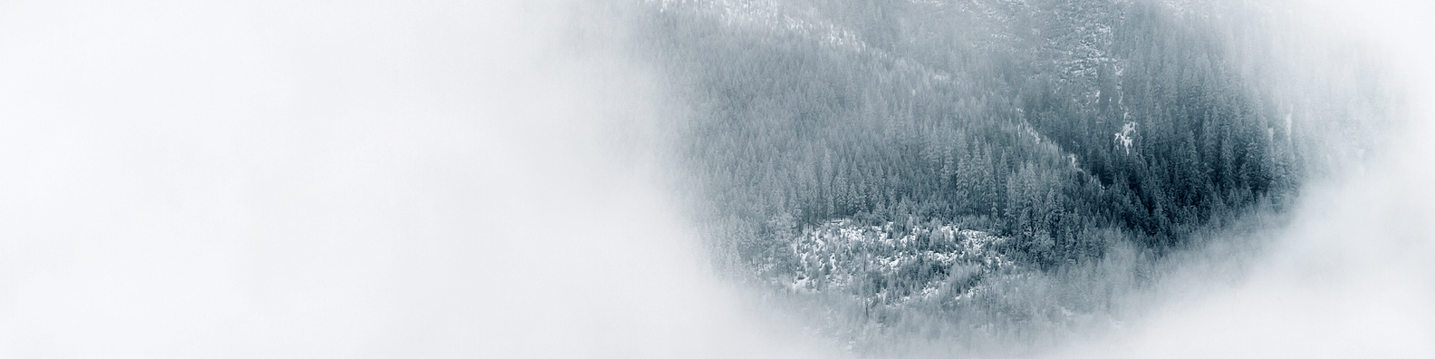 Magnifying Glass Mist - LinkedIn Background - Get some inspiration!