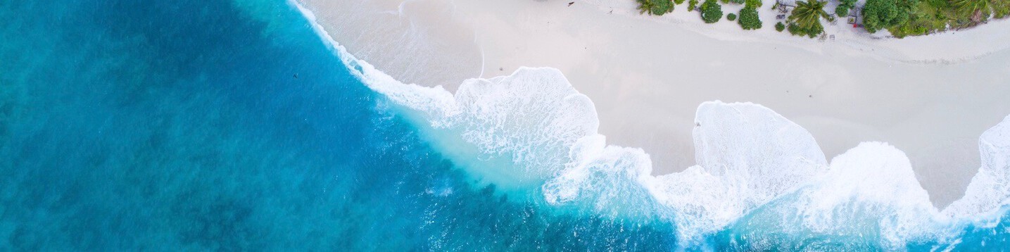 Beach - LinkedIn Background - Get some inspiration!