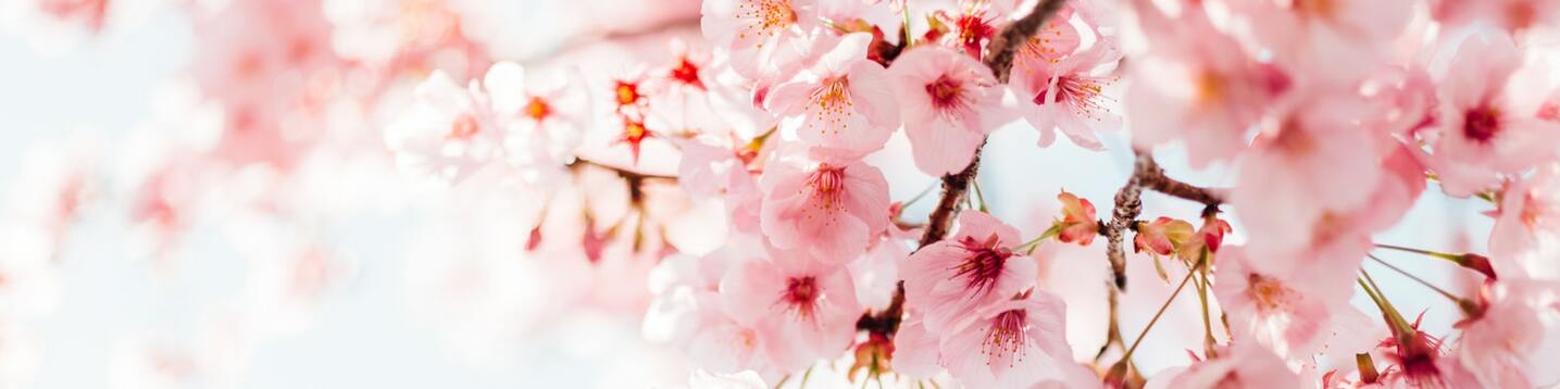 Pink Is My Favorite Color - LinkedIn Background - Get some inspiration!