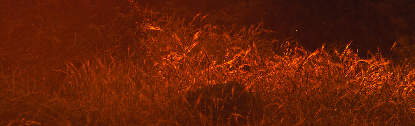 Susnet - LinkedIn Background - Get some inspiration!