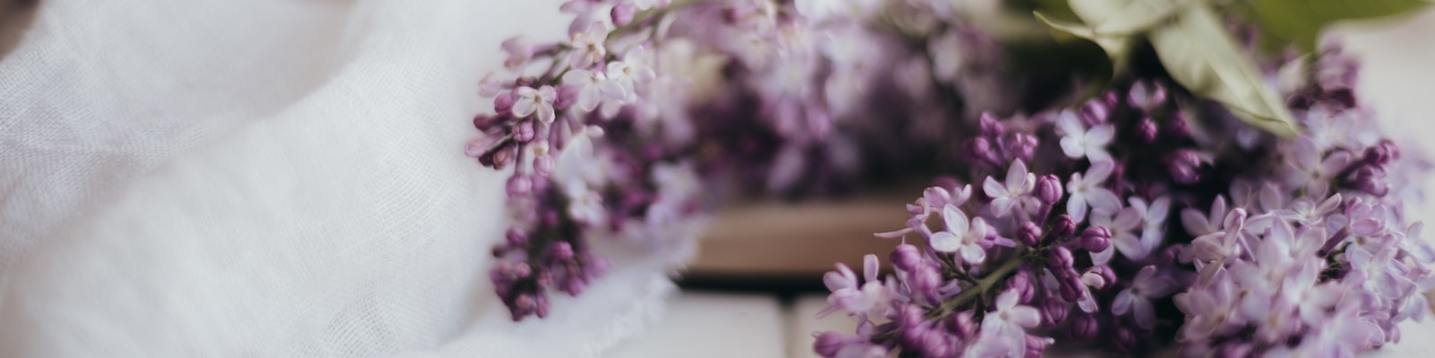 Tiny Purple Flowers - LinkedIn Background - Get some inspiration!