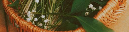 LinkedIn Background - Get some inspiration!