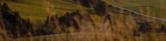 Beautiful Nature Landscape - LinkedIn Background - Get some inspiration!