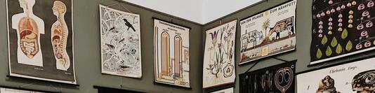 Classroom - LinkedIn Background - Get some inspiration!