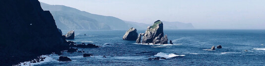 Ocean - LinkedIn Background - Get some inspiration!