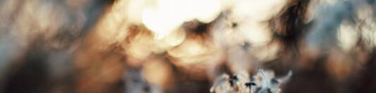 London - LinkedIn Background - Get some inspiration!