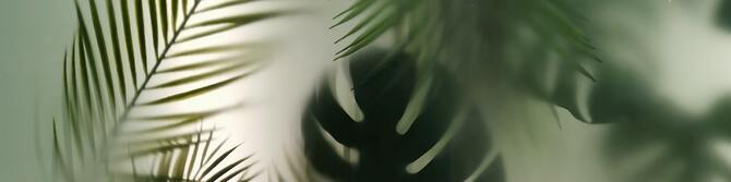 Plants - LinkedIn Background - Get some inspiration!