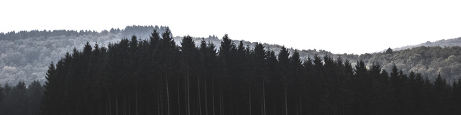 View Of Trees - LinkedIn Background - Get some inspiration!