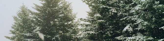 Winter Is Here - LinkedIn Background - Get some inspiration!