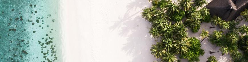 Beach - LinkedIn Background - Get some inspiration!