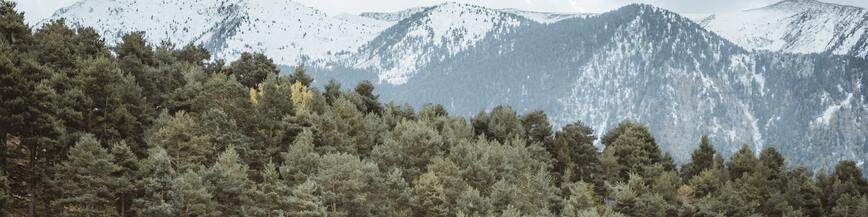 Mountains - LinkedIn Background - Get some inspiration!