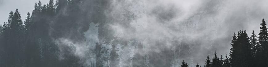 Natures - LinkedIn Background - Get some inspiration!