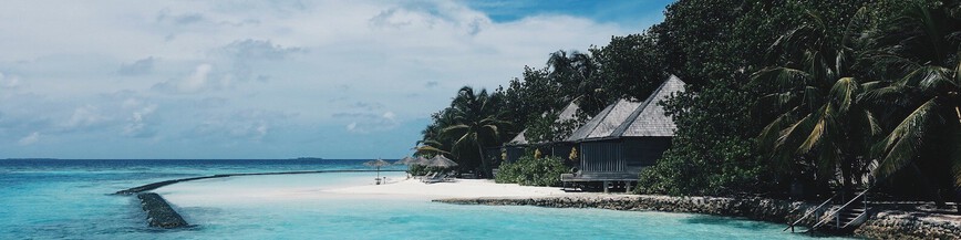 Beach - LinkedIn Background - Get some inspiration!