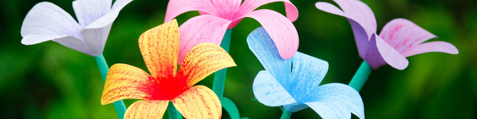 Flowers - LinkedIn Background - Get some inspiration!
