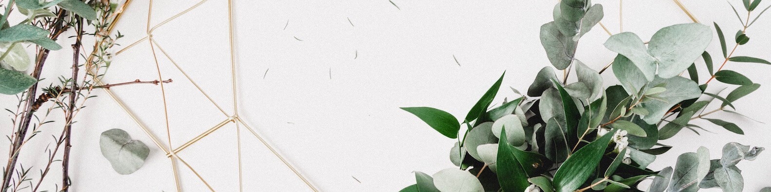 Fluffy - LinkedIn Background - Get some inspiration!