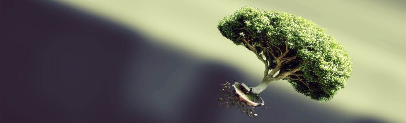 Floating Tree - LinkedIn Background - Get some inspiration!