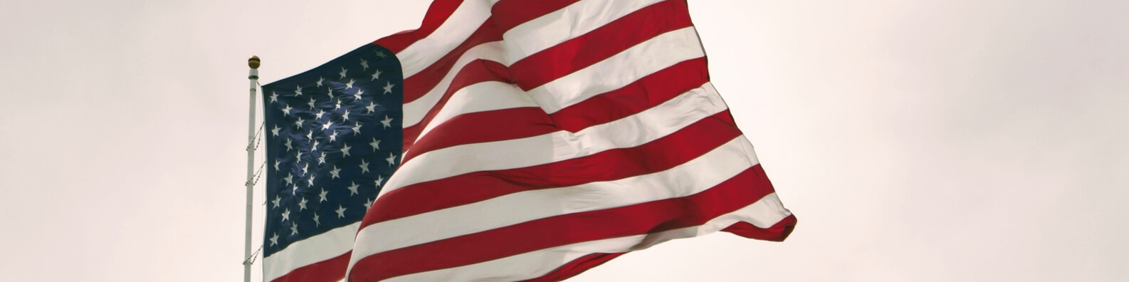 Flutters With Pride - LinkedIn Background - Get some inspiration!