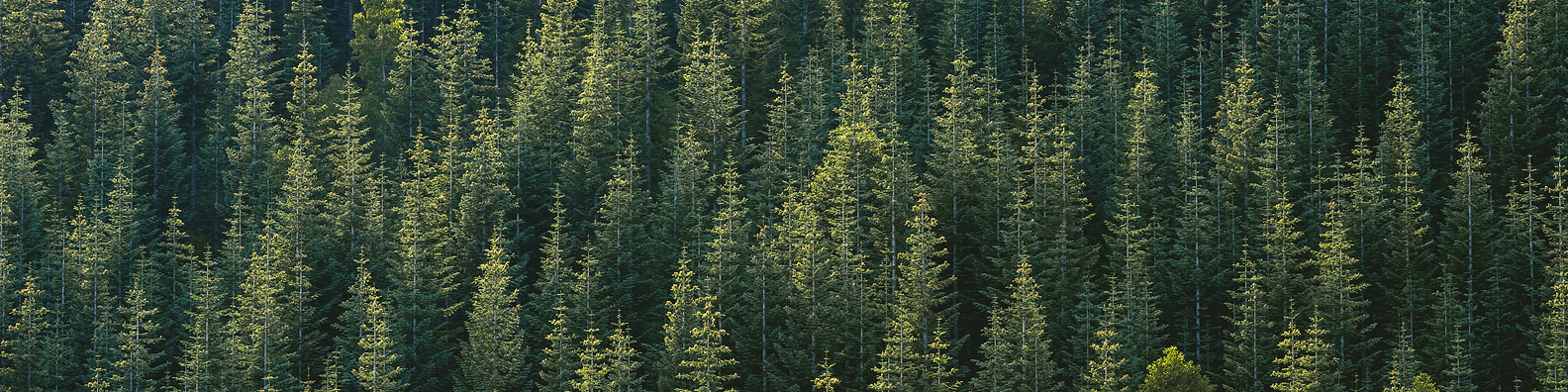 Create - LinkedIn Background - Get some inspiration!